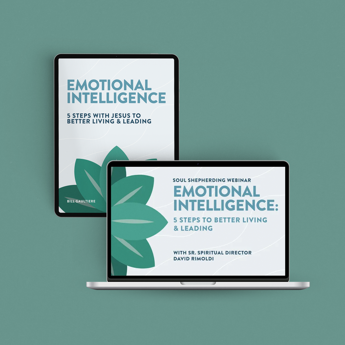 Emotional Intelligence Ebook and Webinar Bundle – Soul Shepherding